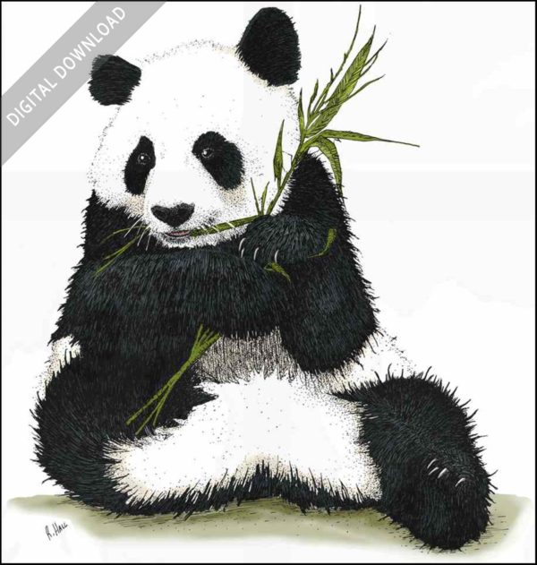 Subspecies of Tigers Poster Print