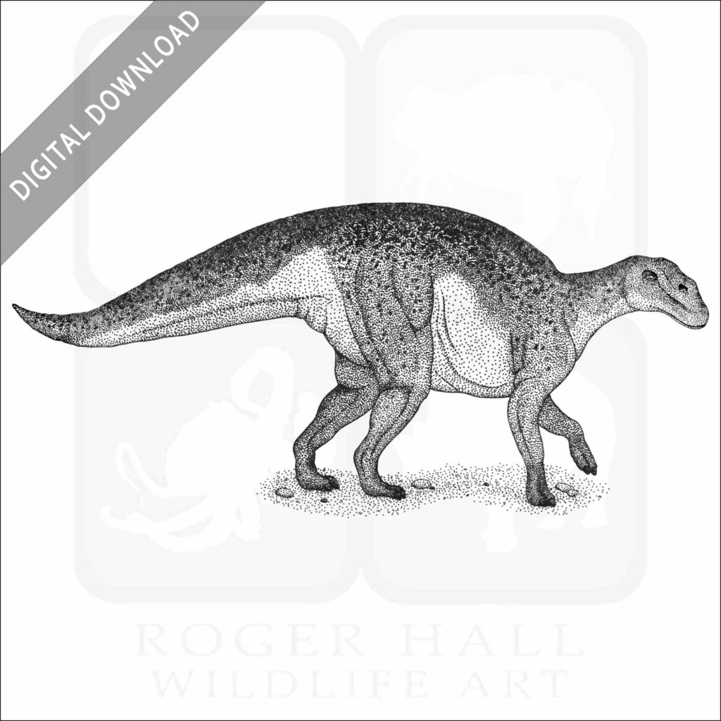 Stock Art Drawing of a Hadrosaurus - inkart