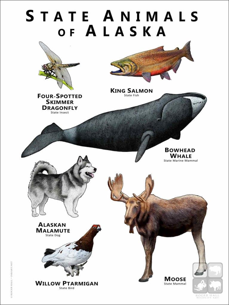 Alaska State Animals Poster Print