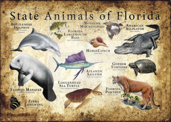 Nevada State Animals Poster Print - inkart