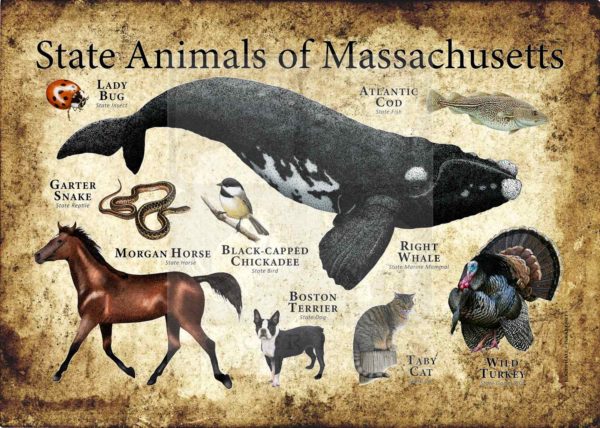 Rhode Island State Animals Poster Print - inkart