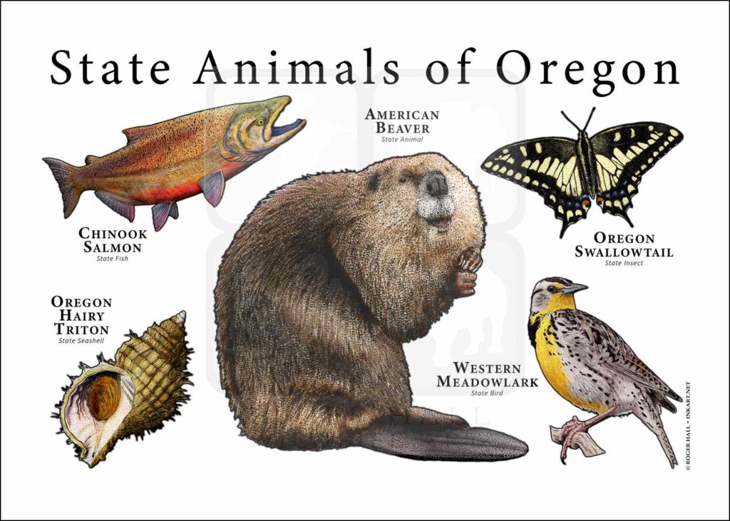 Oregon State Animals Poster Print - inkart