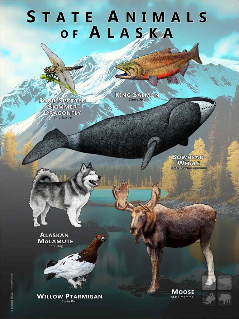 Alaska State Animals Poster Print
