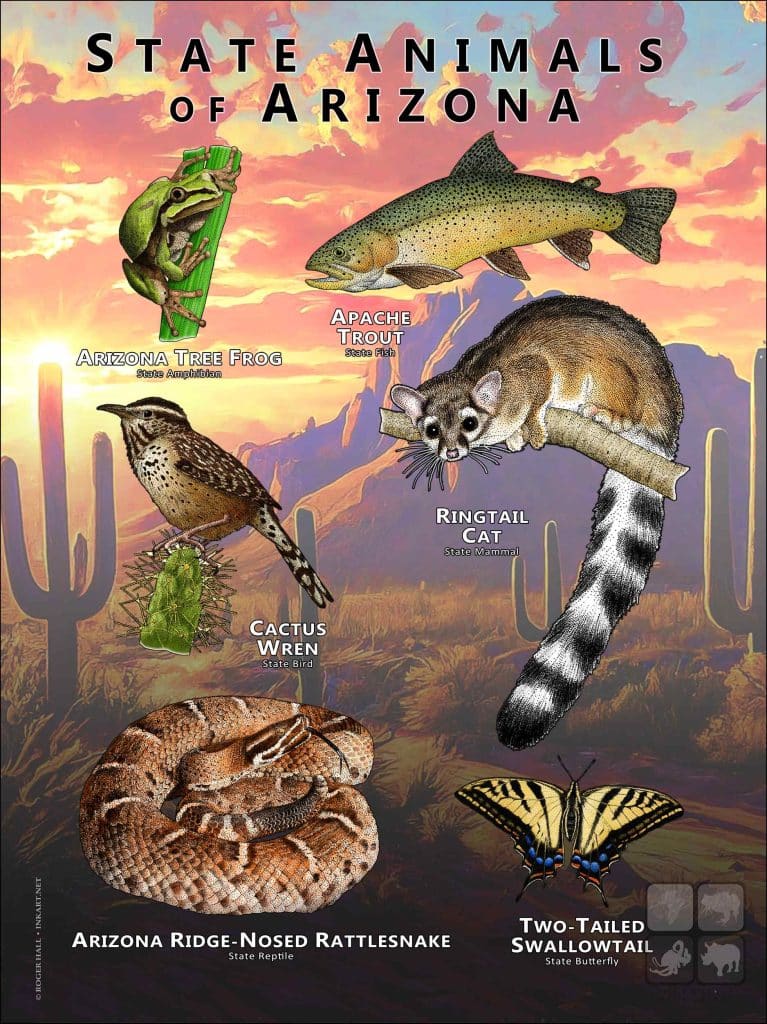 Arizona State Animals Poster Print