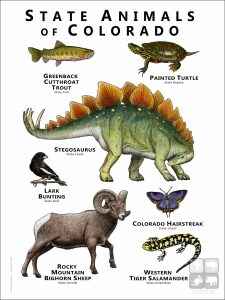 Colorado State Animals Poster - Art Print