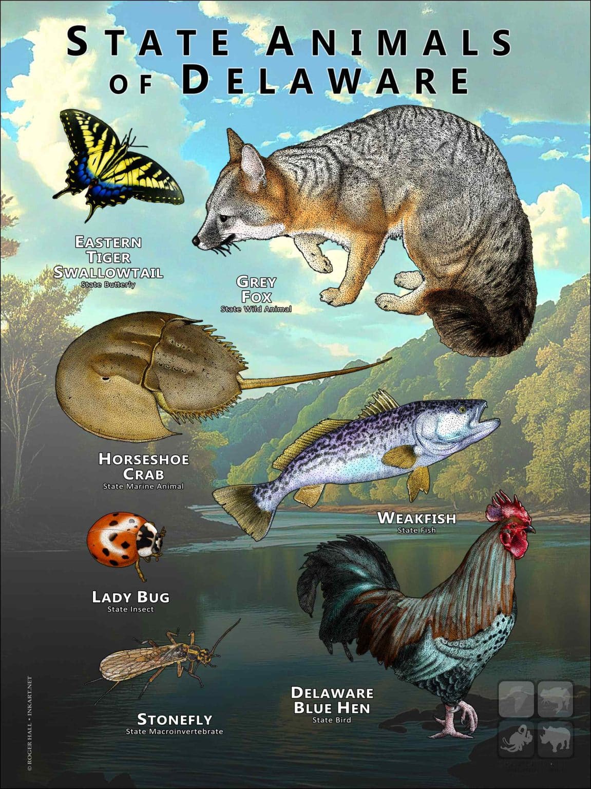Florida State Animals Poster Print