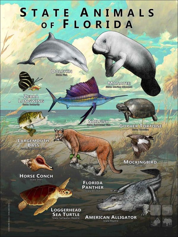 Nevada State Animals Poster Print