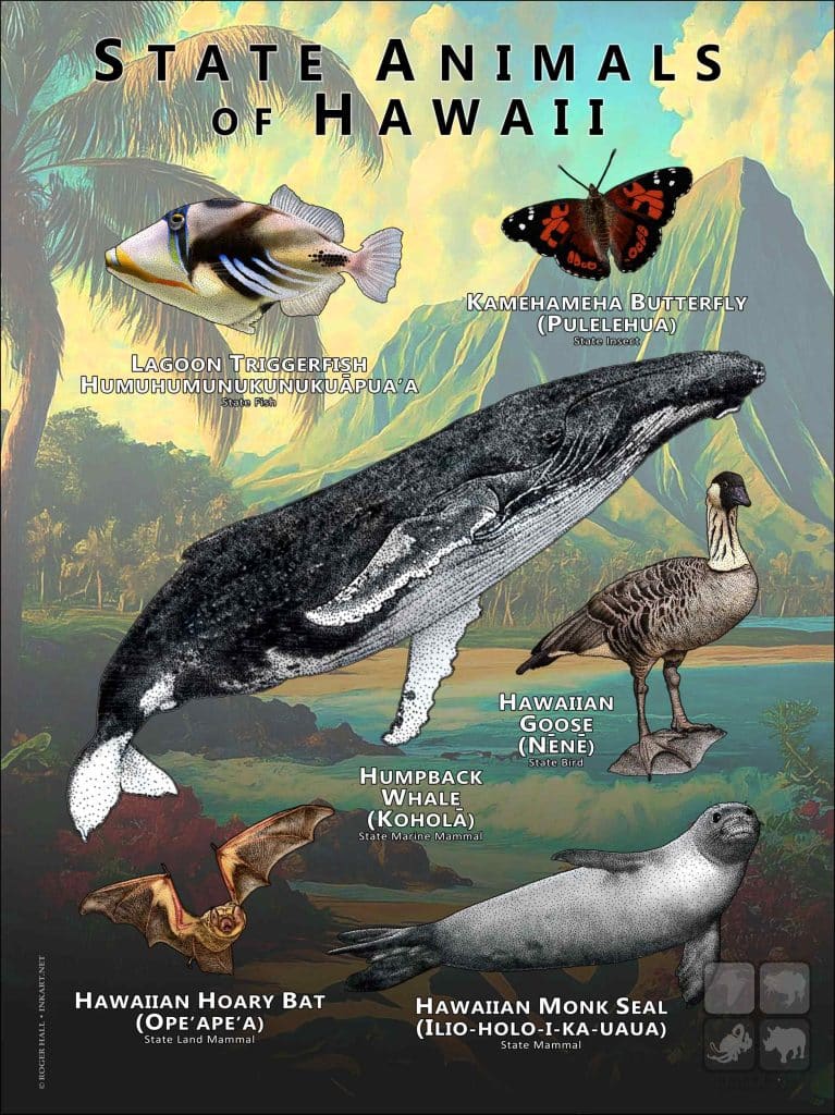 Colorado State Animals Poster Print