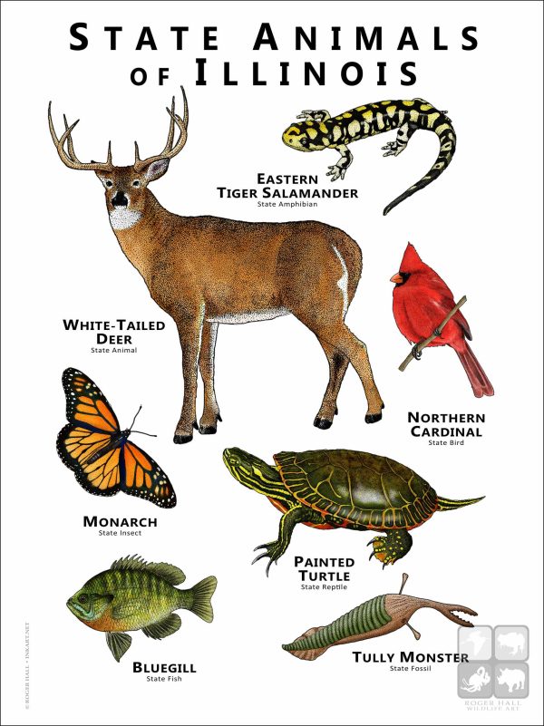 Illinois Lost Megafauna