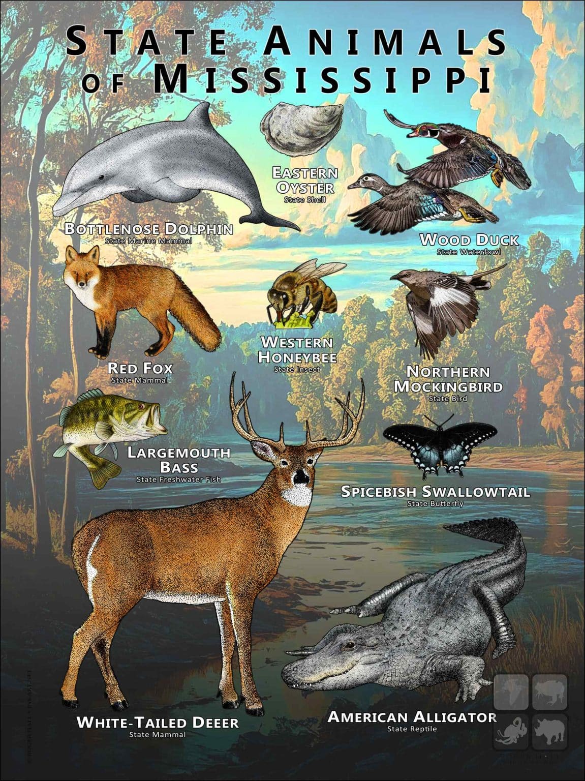 Florida State Animals Poster Print