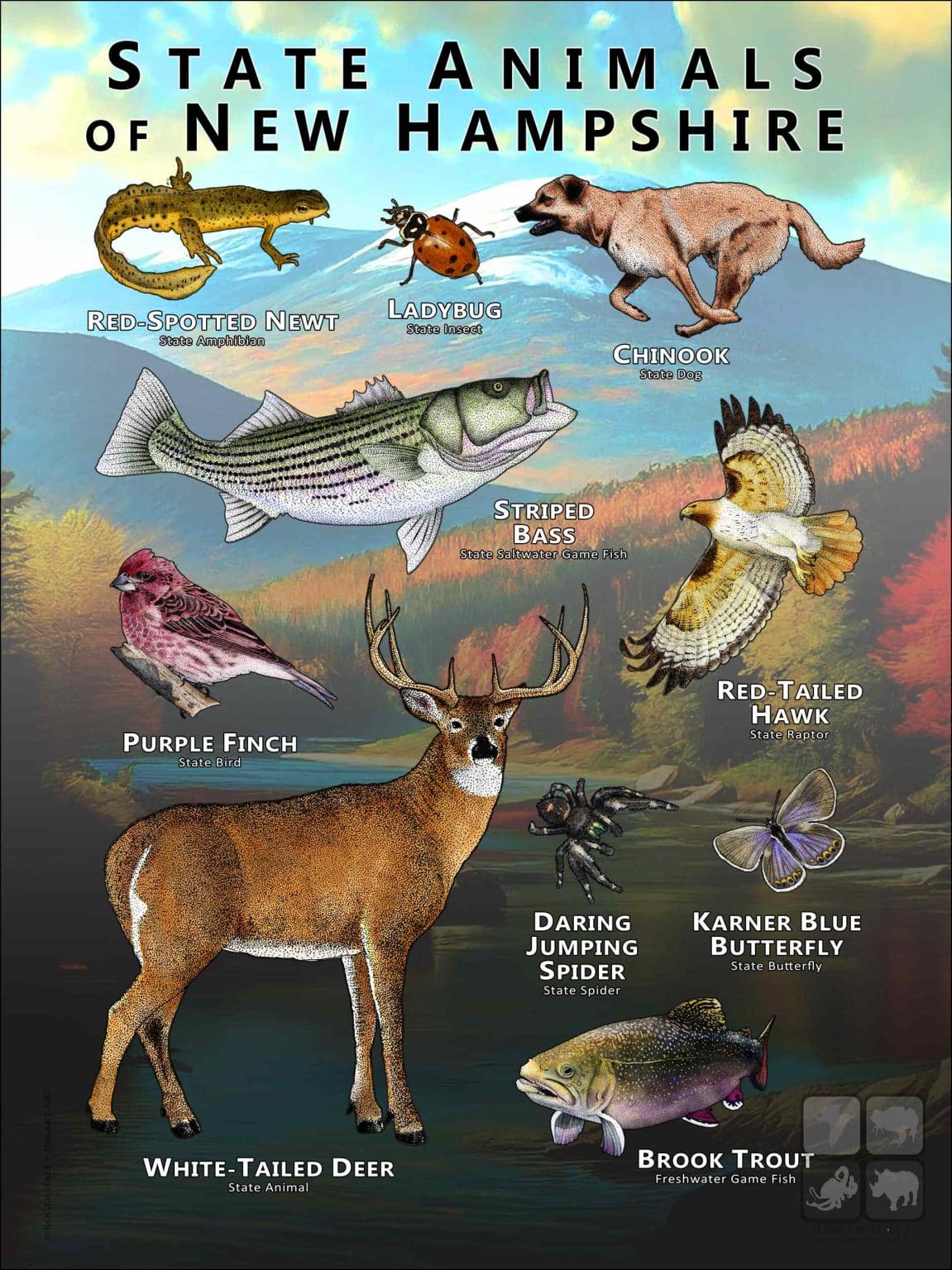 Pennsylvania State Animals Poster Print