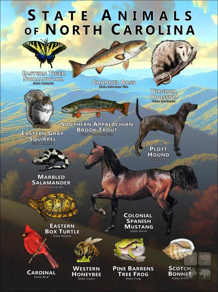Alaska State Animals Poster Print