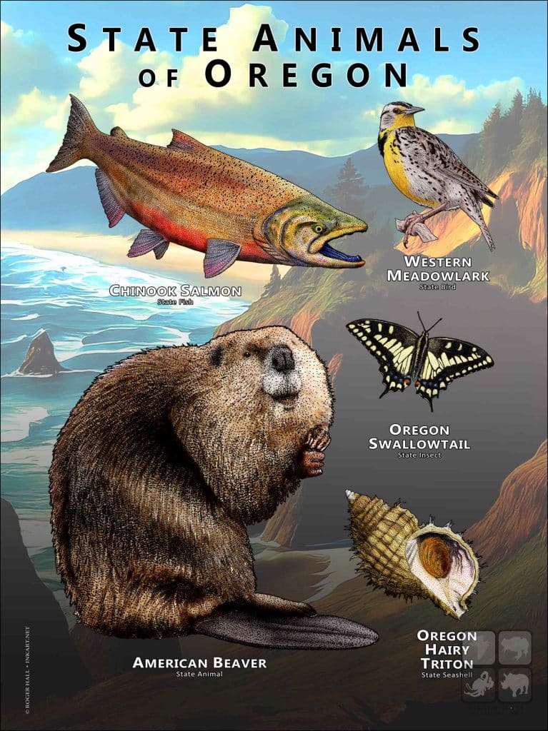 Oregon State Animals Poster Print