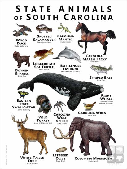 South Carolina State Animals Poster Print