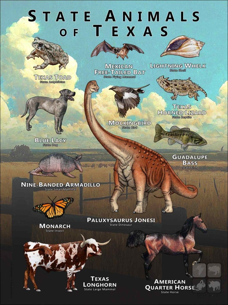 Texas State Animals Poster