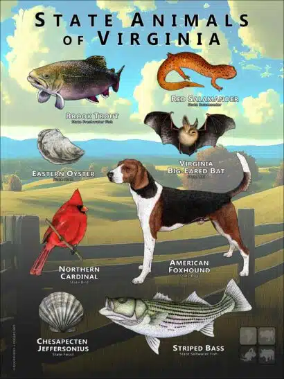 Virginia State Animals Poster Print