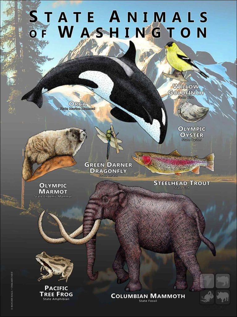 Washington State Animals Poster Print
