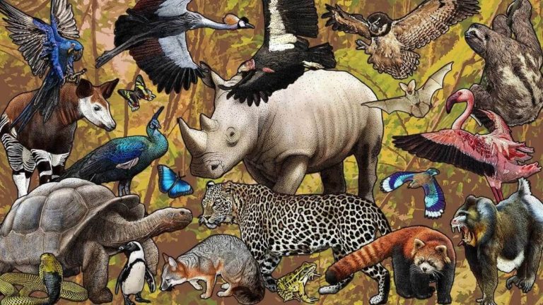 Scientific Illustration by Roger Hall - inkart