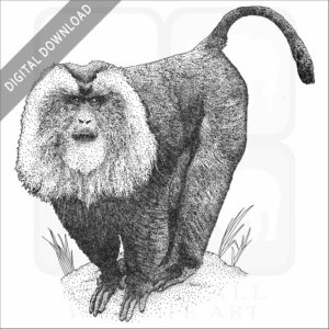 Stock Art Drawing of a Lion-Tailed Macaque – inkart