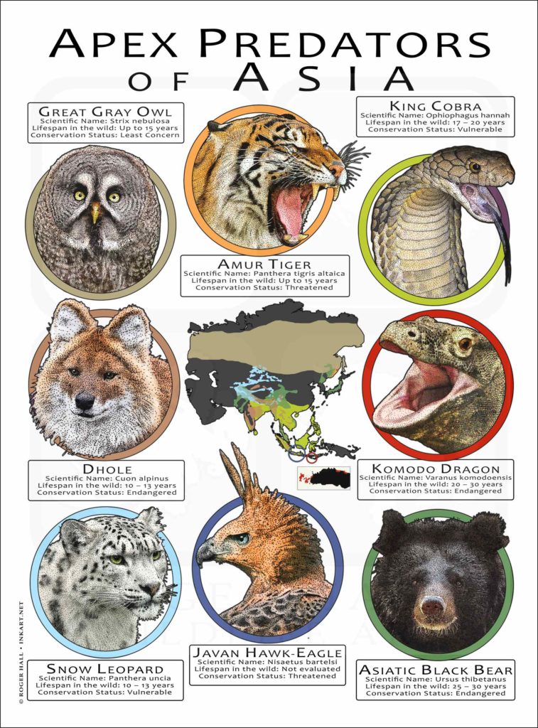 Apex Predators of Asia Poster Print