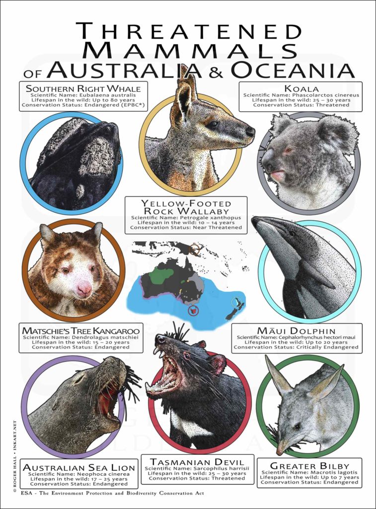Threatened Mammals of Australia & Oceania Poster Print