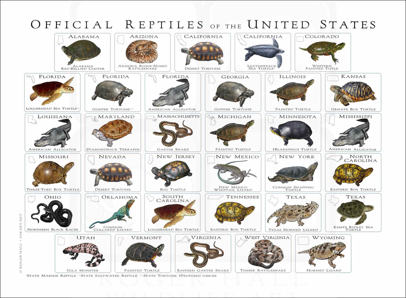 Official Reptiles of the United States Poster Print