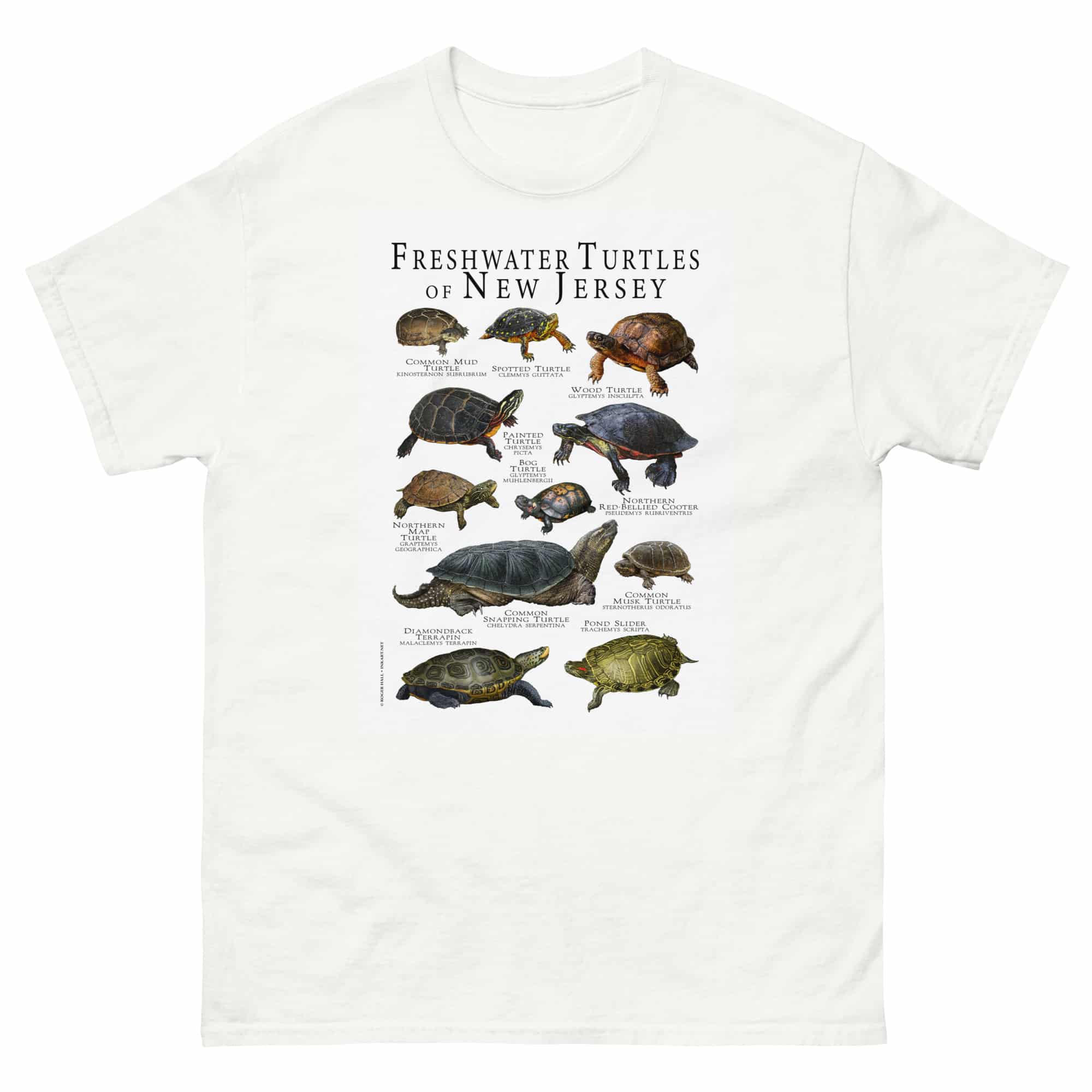 Freshwater Turtles of New Jersey - Men's classic tee