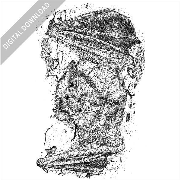 Stock Art Drawing of a Pallid Bat