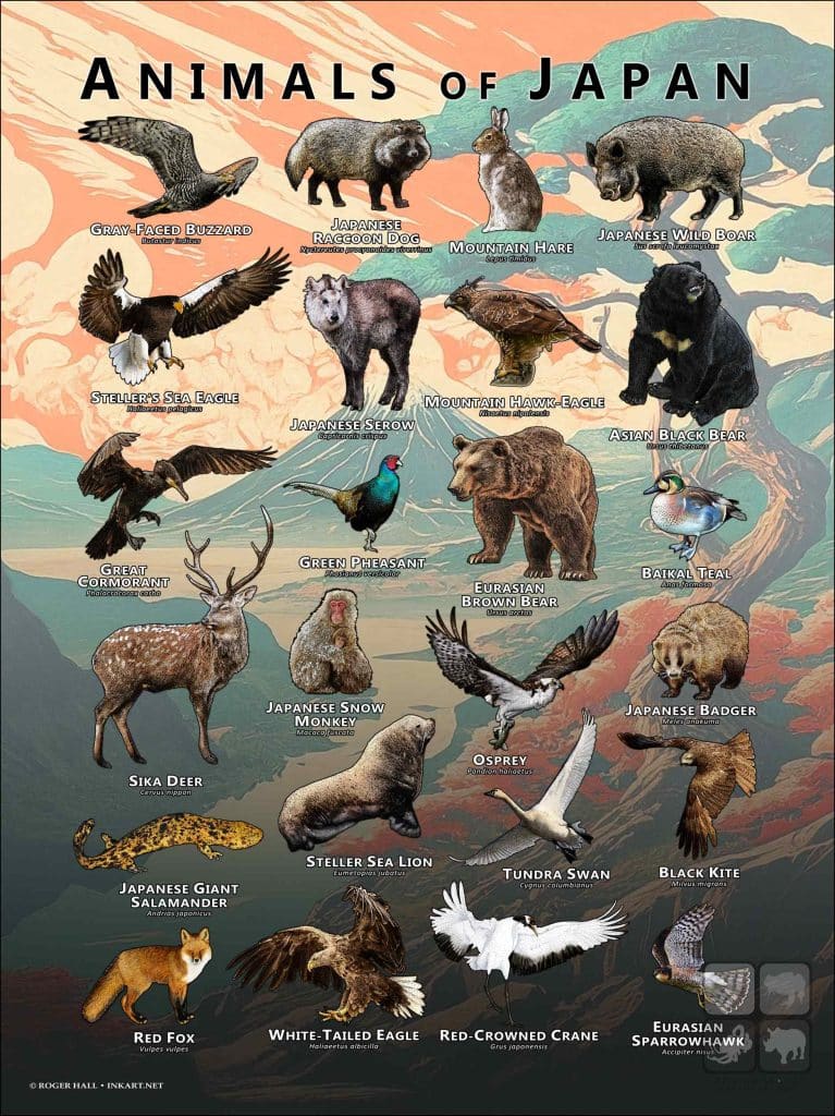 Animals of Japan Poster Print