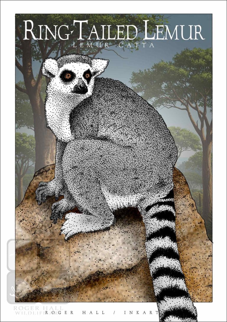 Ring-Tailed Lemur - Unisex classic tee