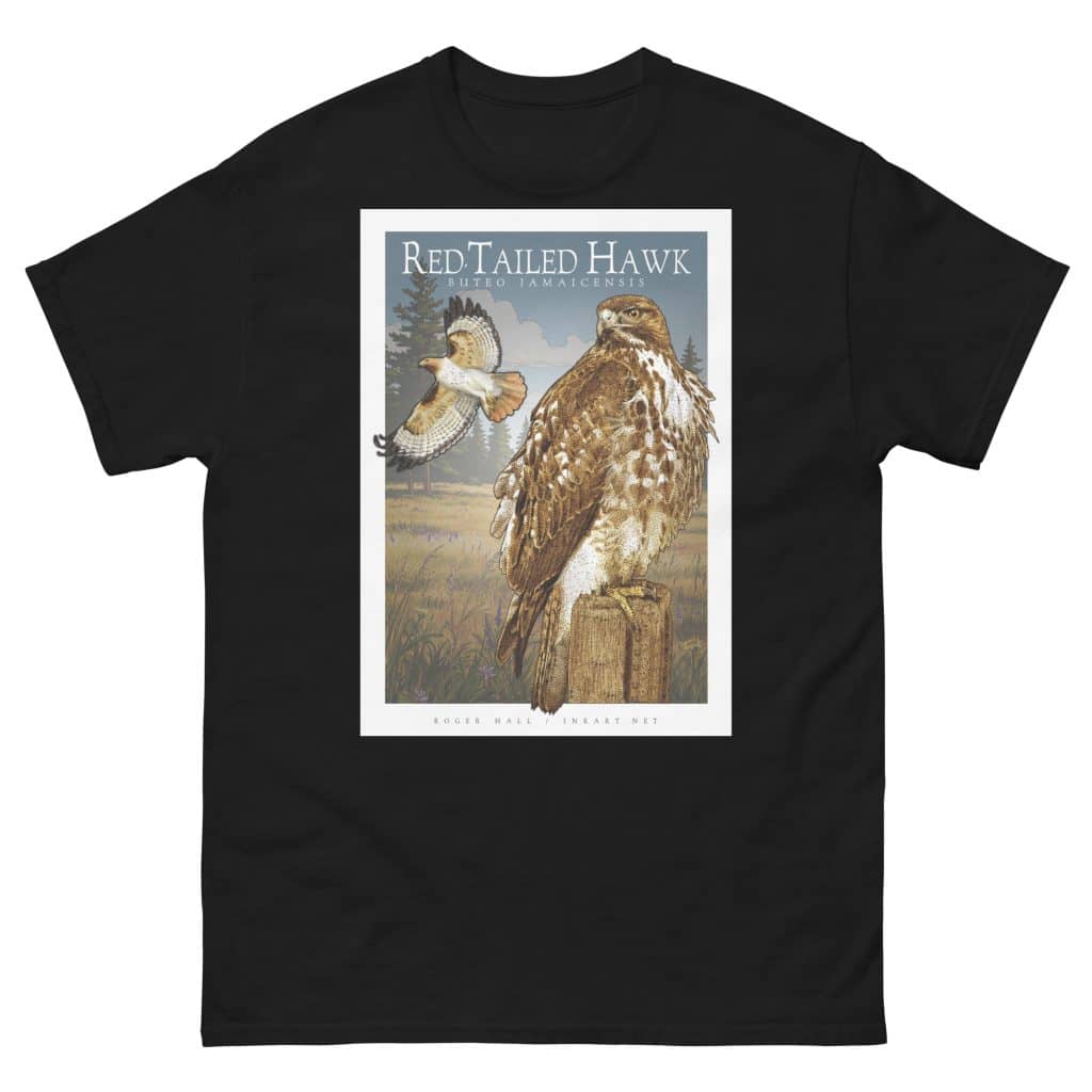 Red-Tailed Hawk - Unisex classic tee
