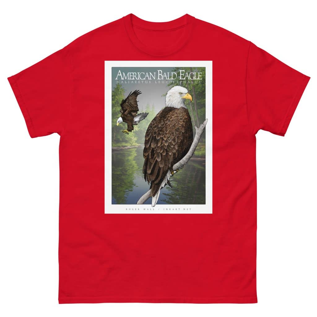 American Bald Eagle - Unisex classic tee
