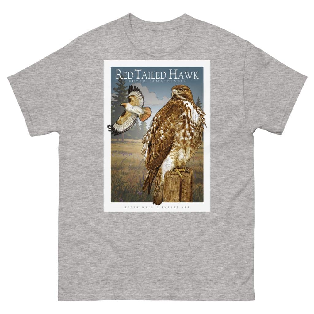 Red-Tailed Hawk - Unisex classic tee