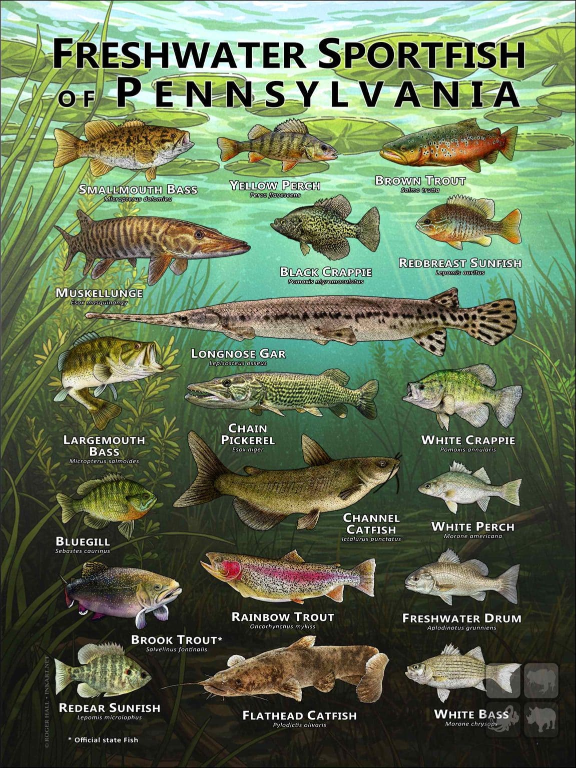 Mammals of the Carpathian Mountains Poster Print