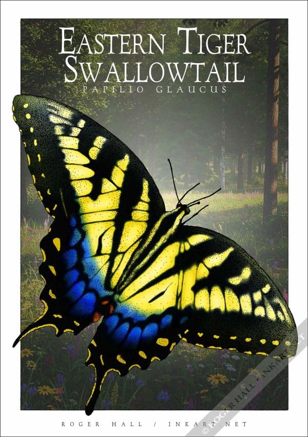 Eastern Tiger-Swallowtail Butterfly Poster Print