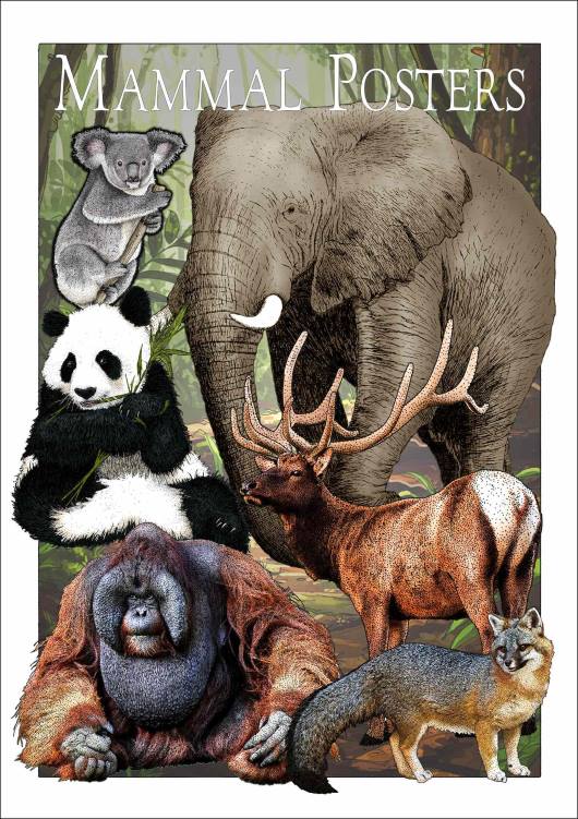 Scientific Illustration by Roger Hall - inkart