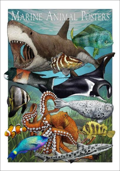 Scientific Illustration by Roger Hall - inkart