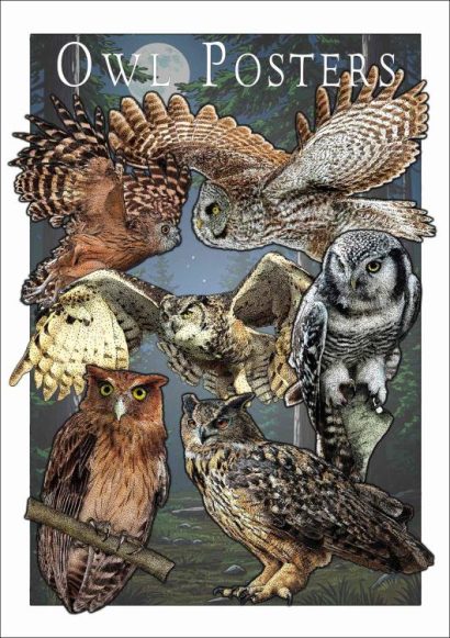 Scientific Illustration by Roger Hall - inkart