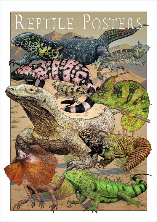 Scientific Illustration by Roger Hall - inkart