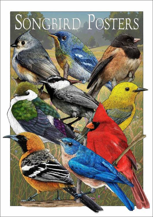 Scientific Illustration by Roger Hall - inkart